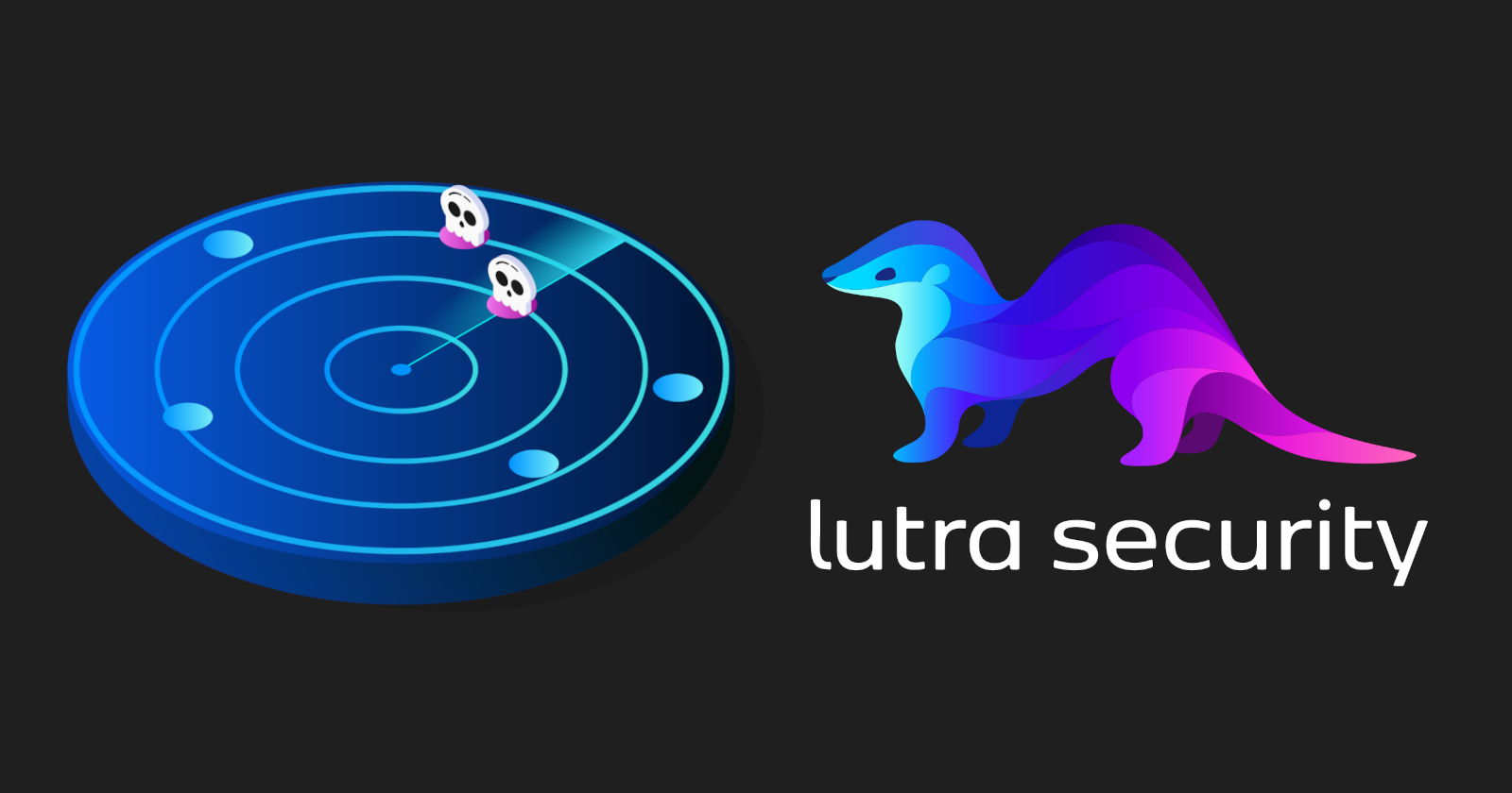 Vulnerability assessment – Lutra Security